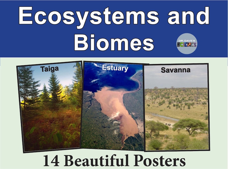 Biome and Ecology Posters Digital Science Prints Environment Tundra - Etsy