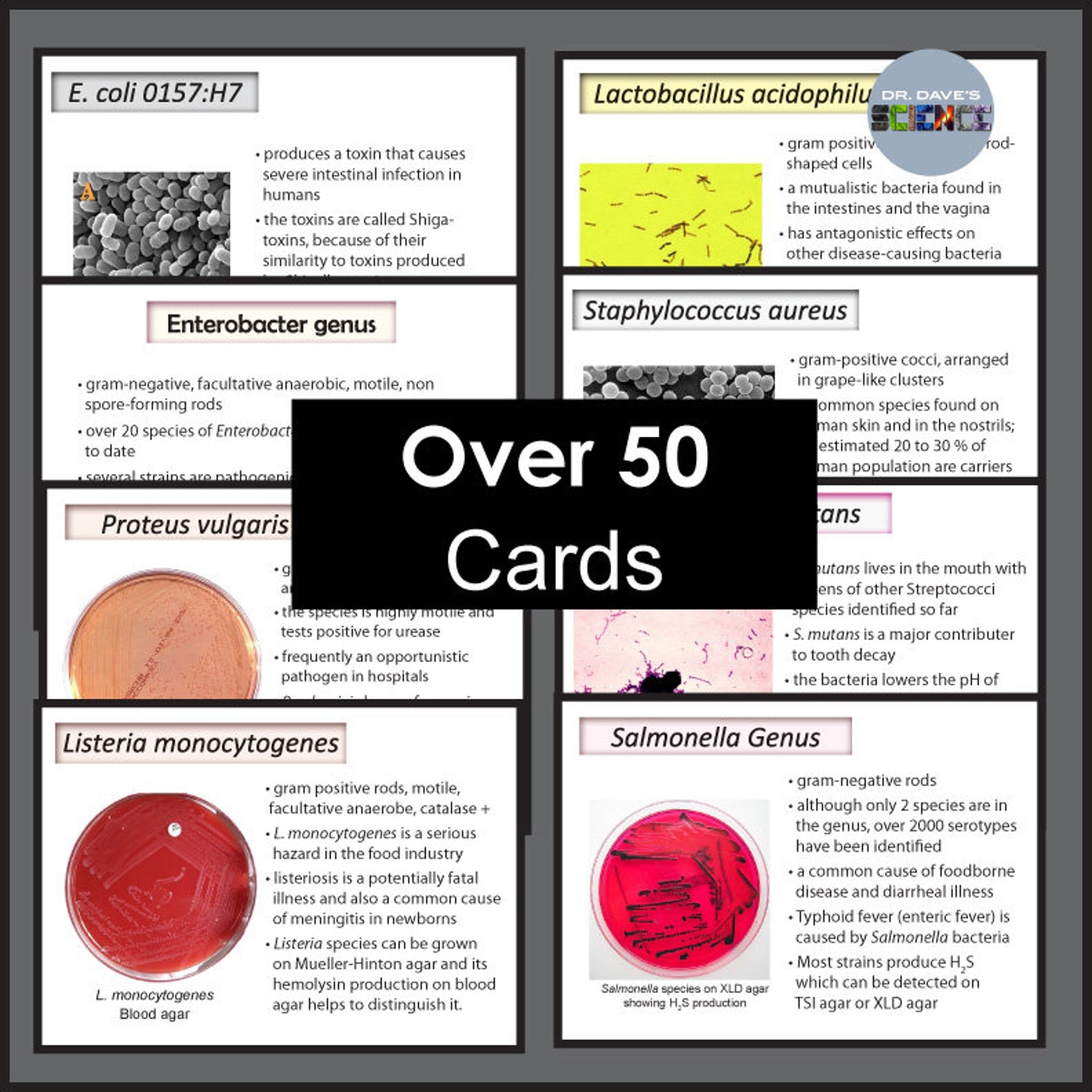 Microbiology Lab Study Guide Printable Cards MLT MLS ASPC Exam Prep ...