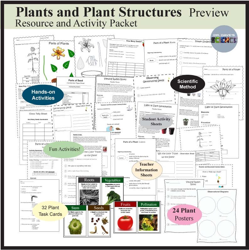 Plants and Plant Structure Activity Packet - Etsy