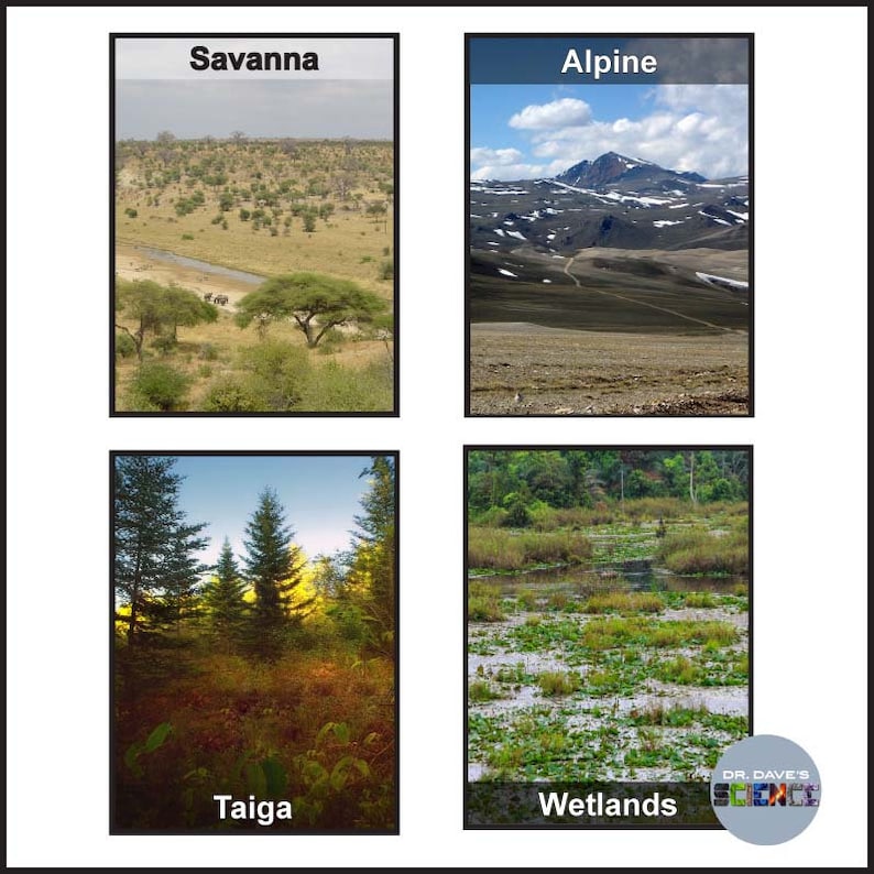 Biome and Ecology Posters Digital Science Prints Environment Tundra - Etsy