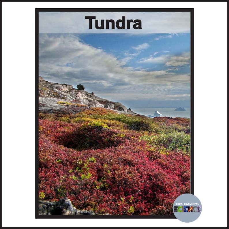 Biome and Ecology Posters Digital Science Prints Environment Tundra - Etsy