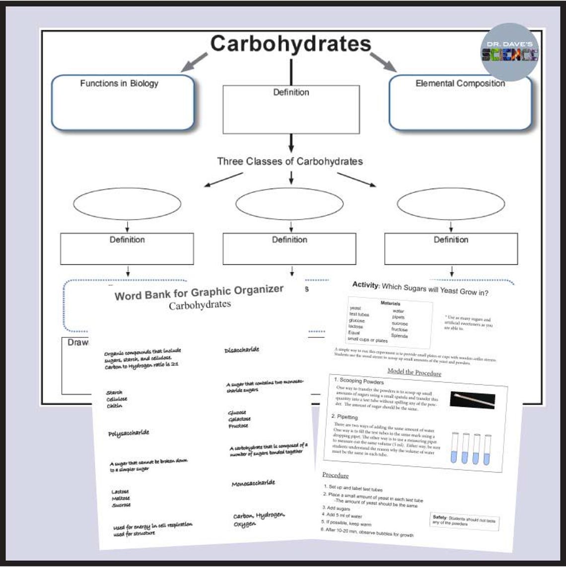 Carbohydrates Structure Worksheets Activity Graphic Organizer ...