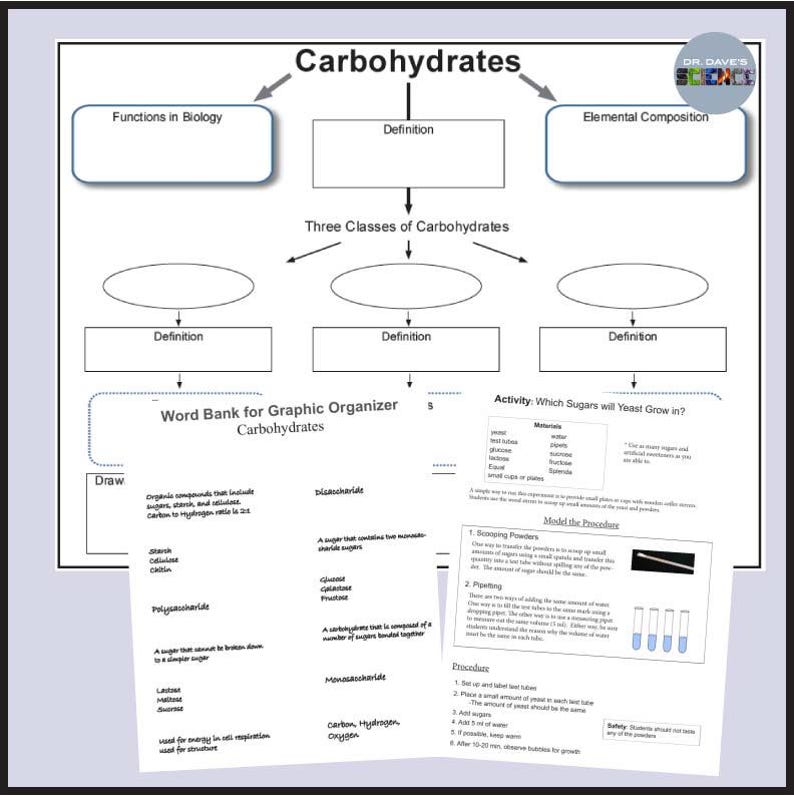 Carbohydrates Structure Worksheets Activity Graphic Organizer ...