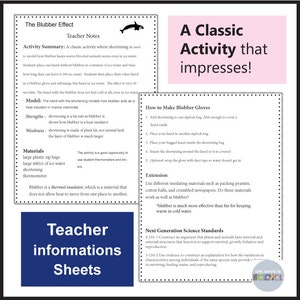 Blubber Experiment Reading Comprehension Arctic Animal Adaptations - Etsy