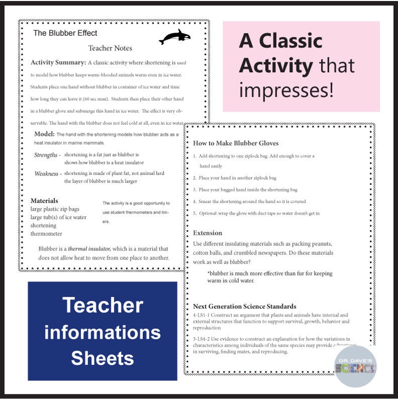 Blubber Experiment Reading Comprehension Arctic Animal Adaptations - Etsy