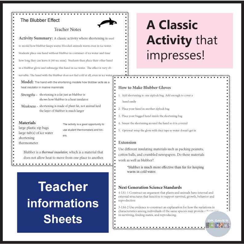 Blubber Experiment Reading Comprehension Arctic Animal Adaptations - Etsy