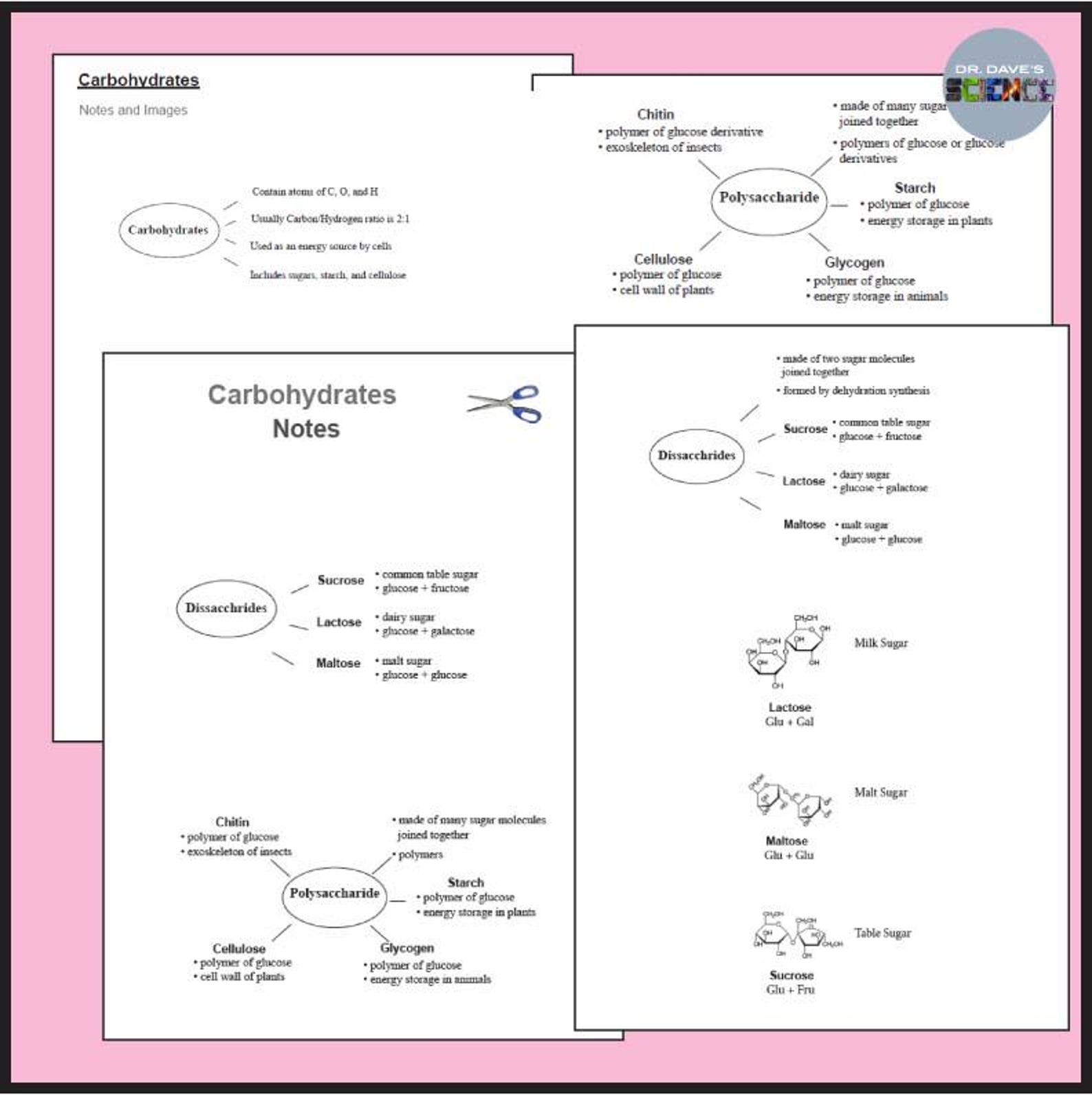 Carbohydrates Structure Worksheets Activity Graphic Organizer ...