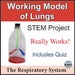 Respiratory System Activities, Worksheets, Task Cards - Etsy
