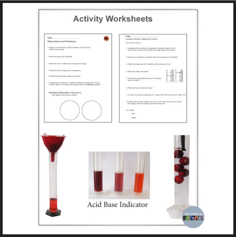 Cranberry Science and Thanksgiving Science - Etsy