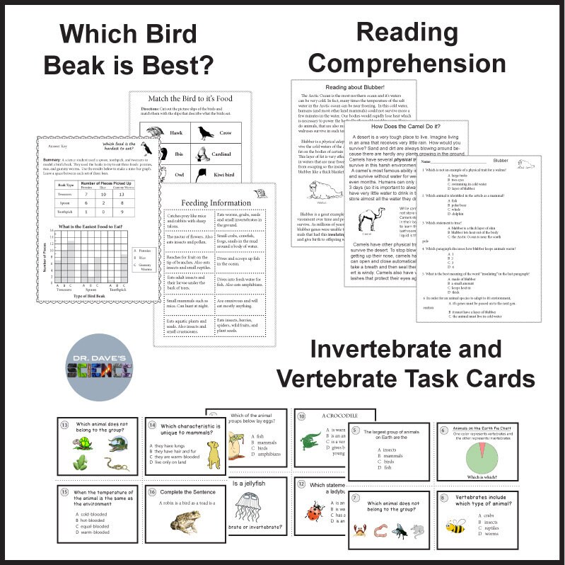 Animal Structures Adaptations Activities and Resources 4th Grade NGSS ...
