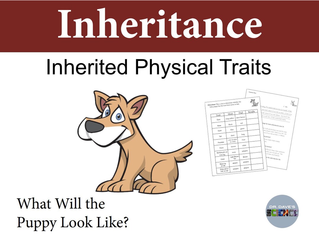Genetics and Heredity Inherited Traits Activity - Etsy