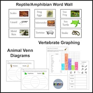 Animal Structures Adaptations Activities and Resources 4th Grade NGSS ...