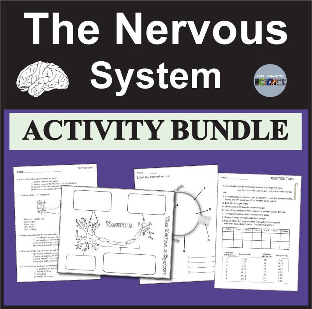 Nervous System Activity Bundle, Worksheets Neuroscience ...