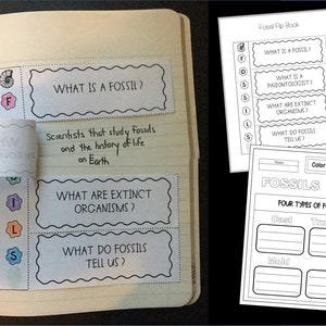 Fossils and Types of Fossils Activities - Etsy