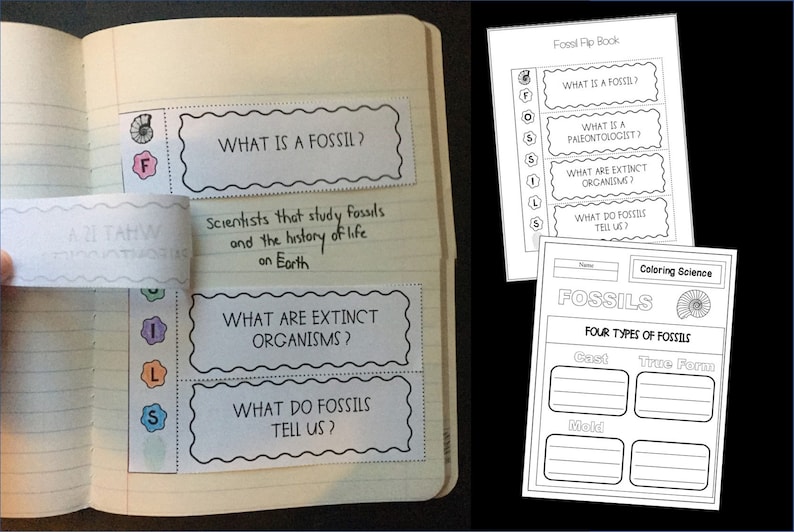 Fossils and Types of Fossils Activities - Etsy