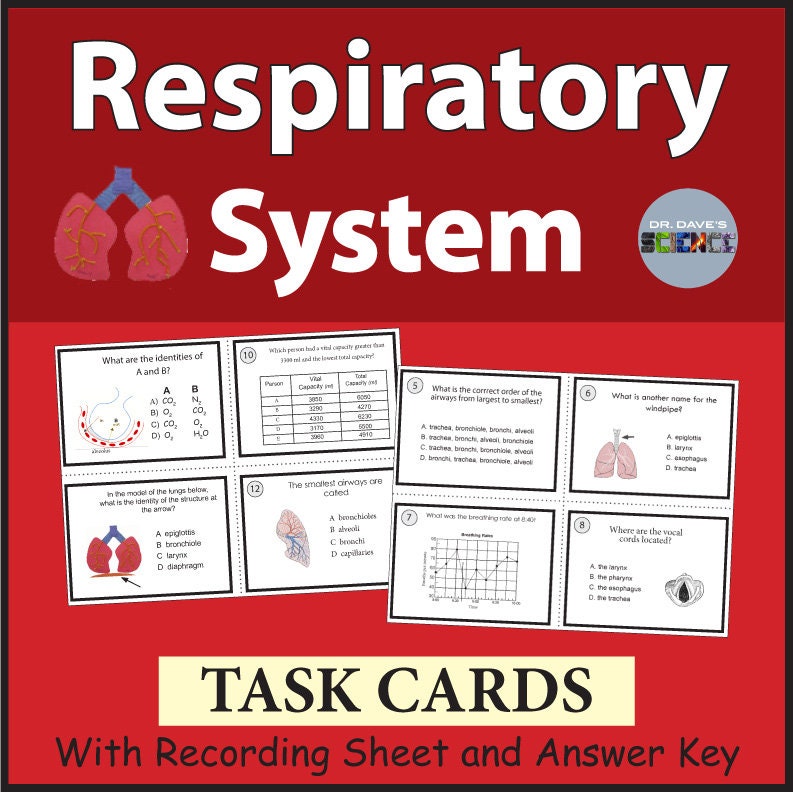 Respiratory System Activities, Worksheets, Task Cards - Etsy