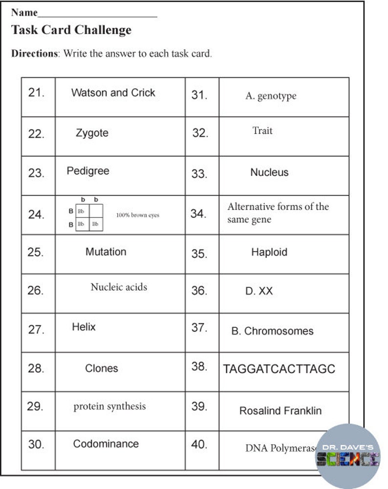 Genetics and Heredity Task Cards DNA Structure and DNA Replication - Etsy