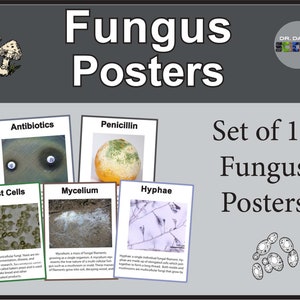 Fungus Science Posters - Etsy