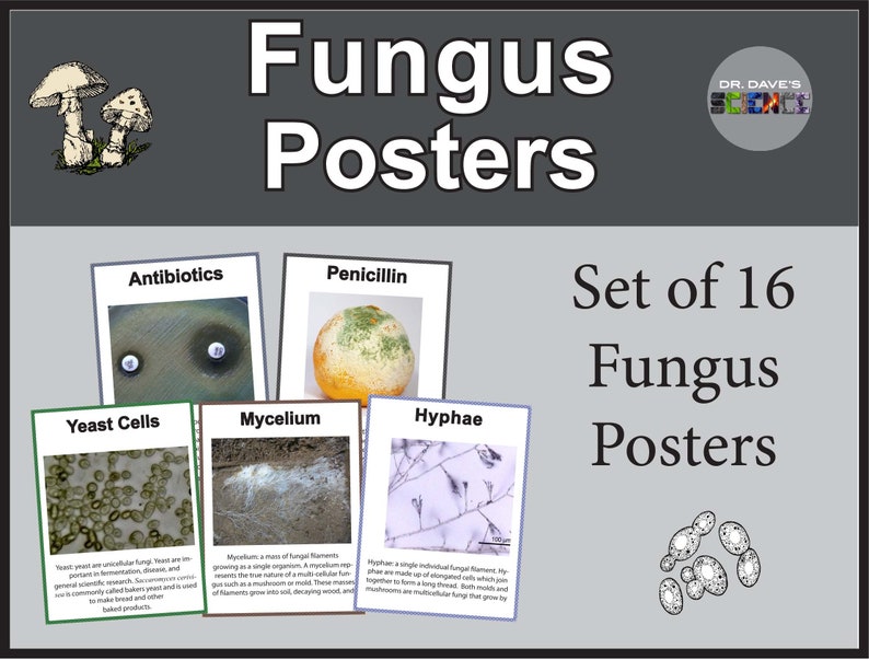 Fungus Science Posters - Etsy