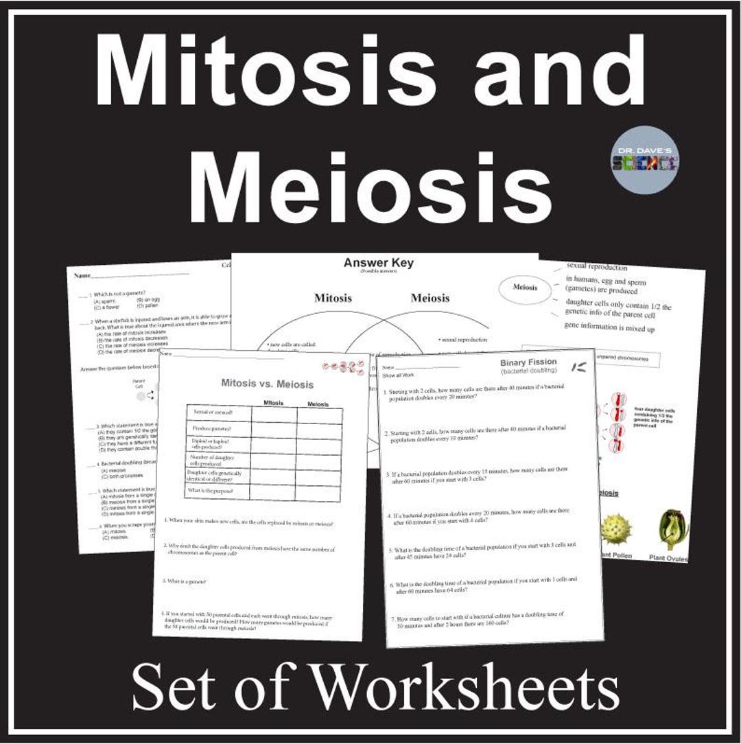 Mitosis and Meiosis Worksheets Bacterial Fission Doubling Activity ...