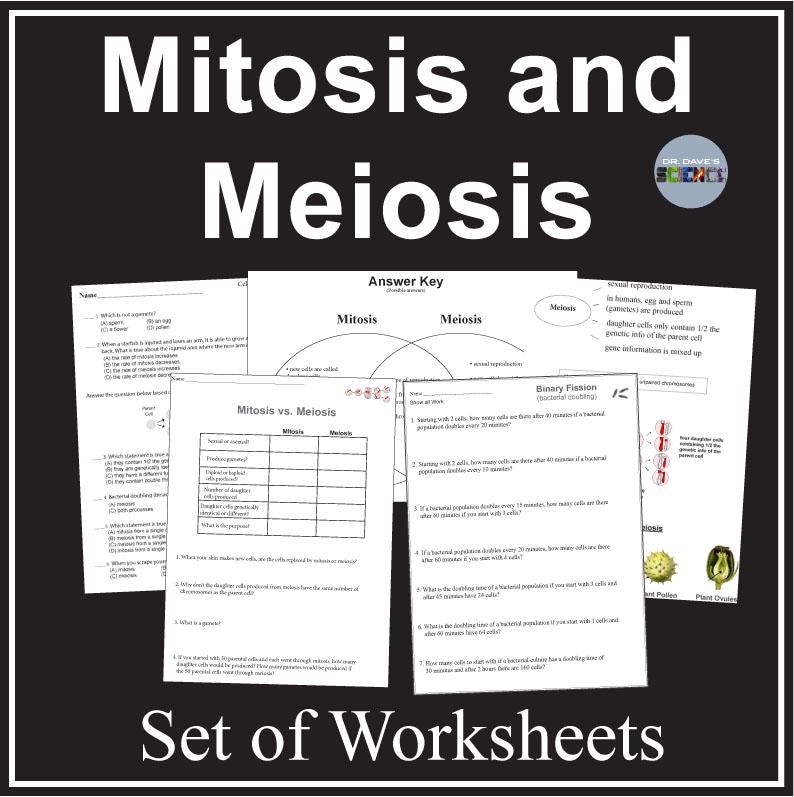 Mitosis and Meiosis Worksheets Bacterial Fission Doubling Activity ...