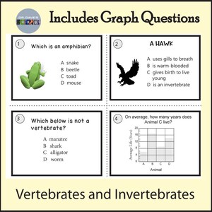 Animal Classification Invertebrates and Vertebrates Task Cards - Etsy