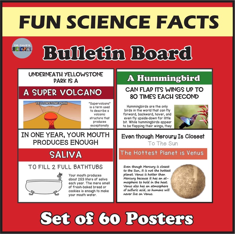Fun Science Facts Posters Bulletin Board - Etsy