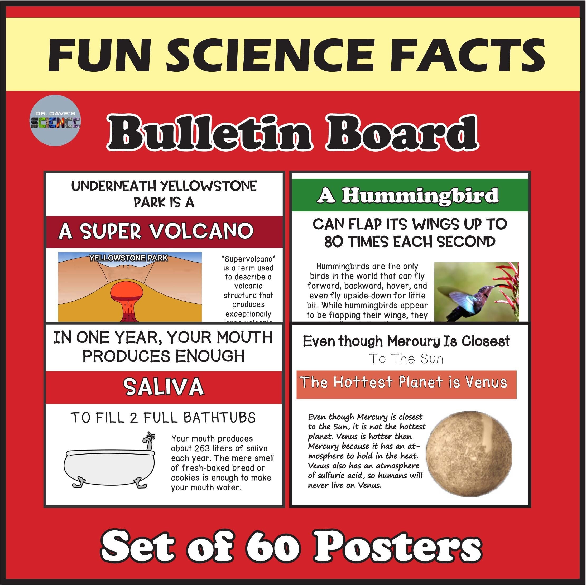 Fun Science Facts Posters Bulletin Board Etsy