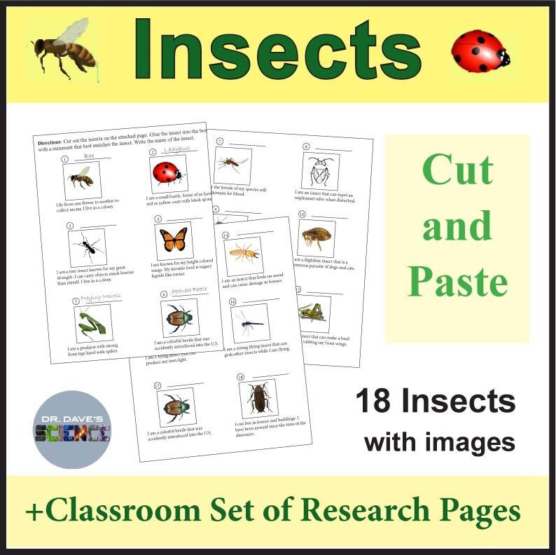 Insects Cut and Paste Worksheets, Bugs and Insects Research Template - Etsy