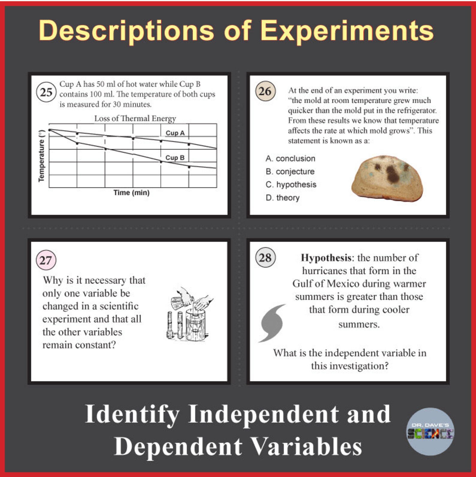 Scientific Method Task Cards - Etsy