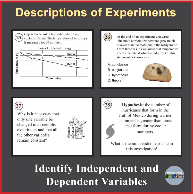 Scientific Method Task Cards - Etsy