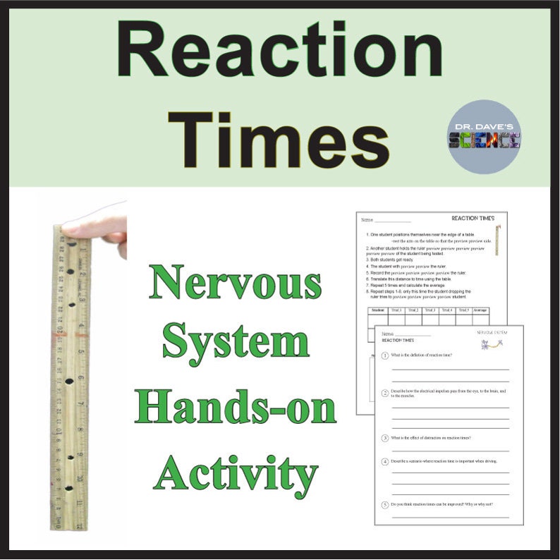 Nervous System Activity Bundle, Worksheets Neuroscience ...