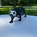 Halloween, Dracula Tiger Cake Topper - Etsy