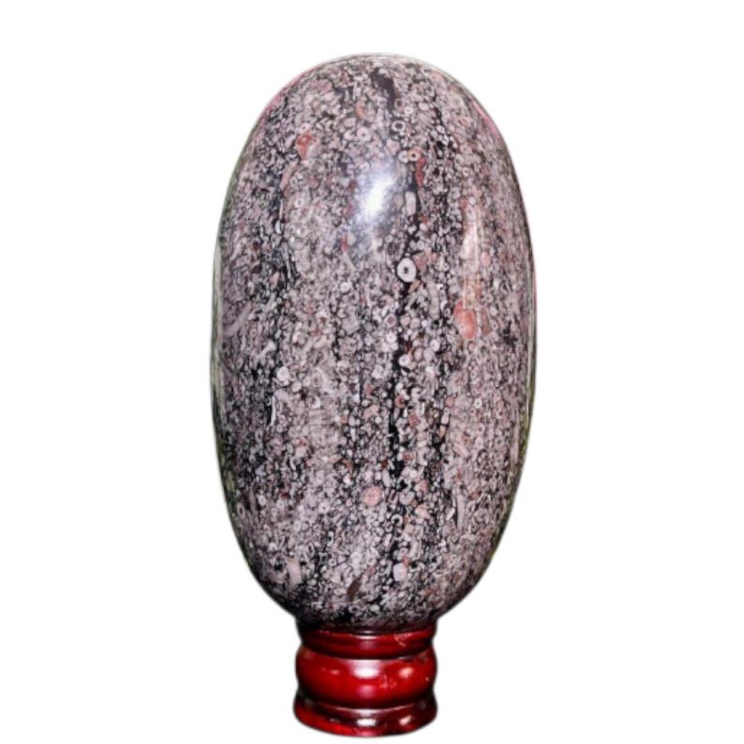 Large Fossil Lingam Stone: Crinoid Orthoceras Gastropod Crystal - Etsy
