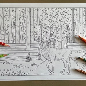 fish game coloring pages on deer