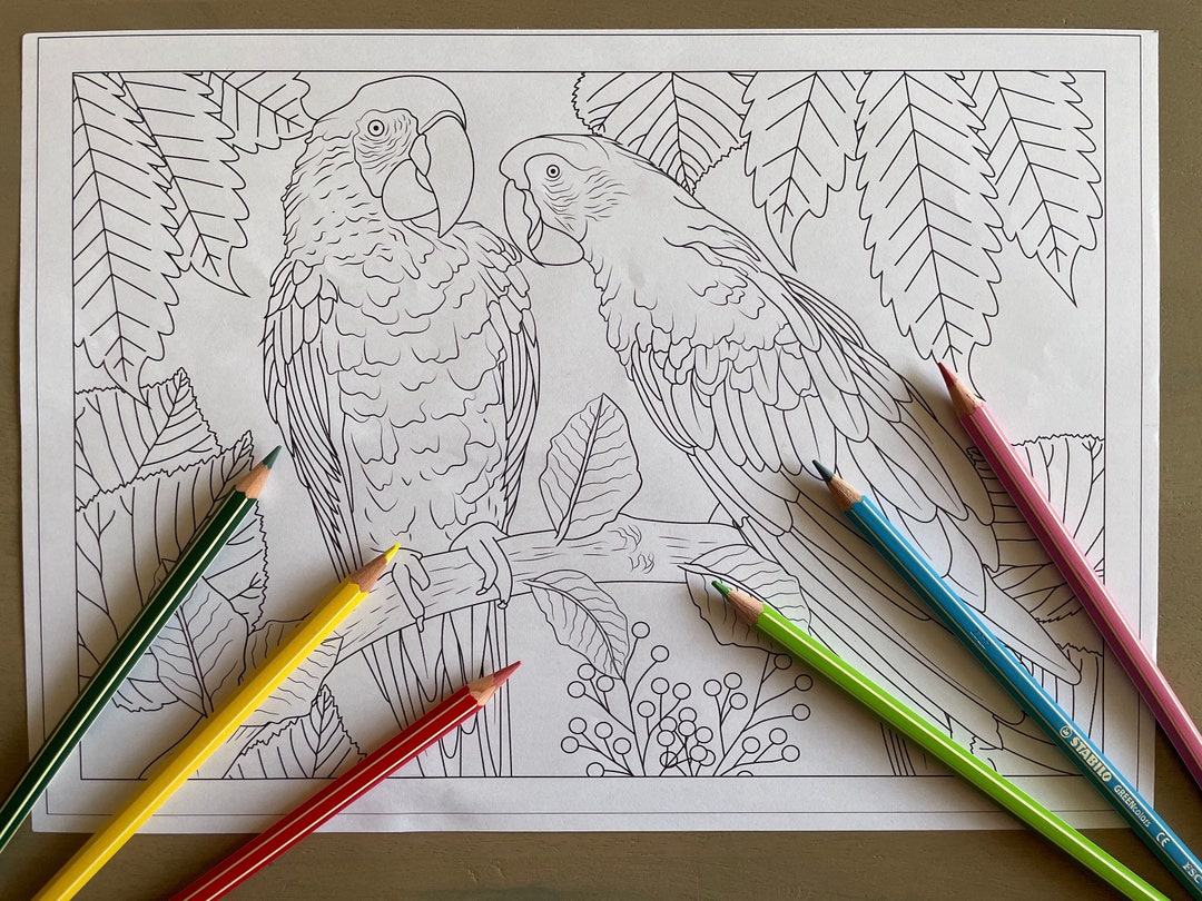 Coloring Page: Parrots | Instant Download | Unlimited Prints - Etsy