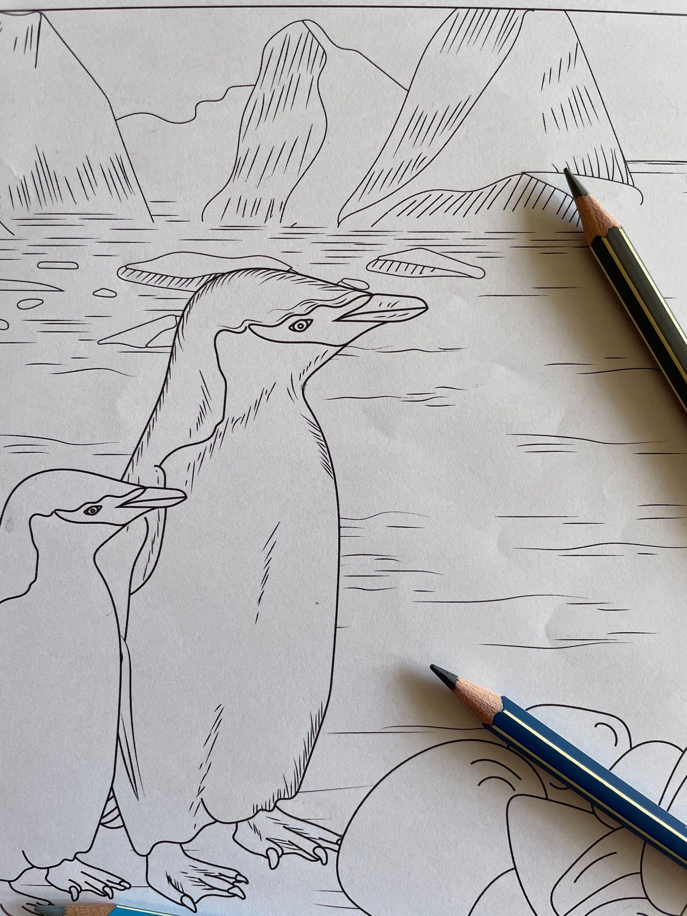Coloring Page: Penguins | Instant Download | Unlimited Prints - Etsy