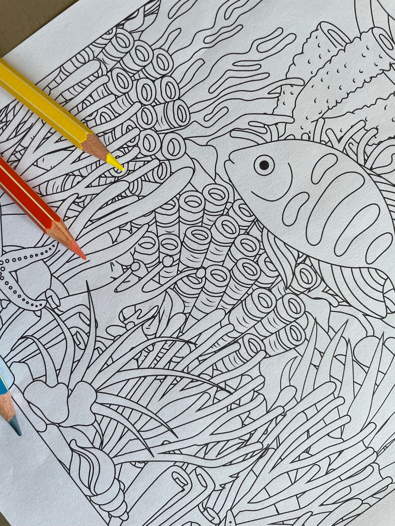 Coloring Page: Fishes | Instant Download | Unlimited Prints - Etsy