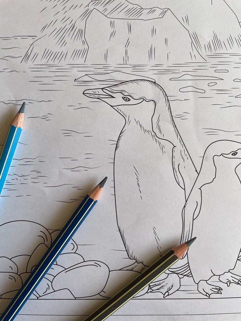 Coloring Page: Penguins | Instant Download | Unlimited Prints - Etsy