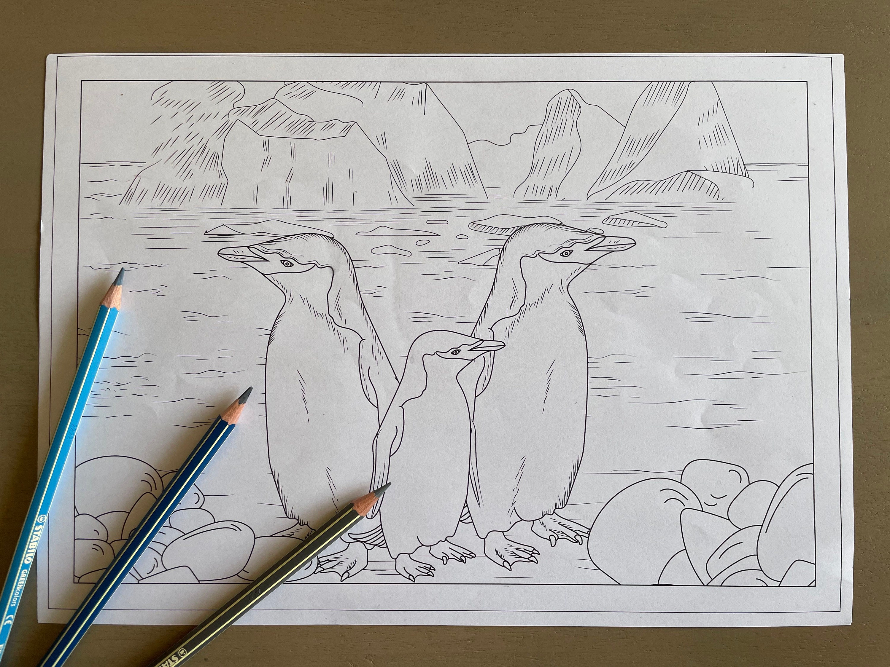 Coloring Page: Penguins | Instant Download | Unlimited Prints - Etsy