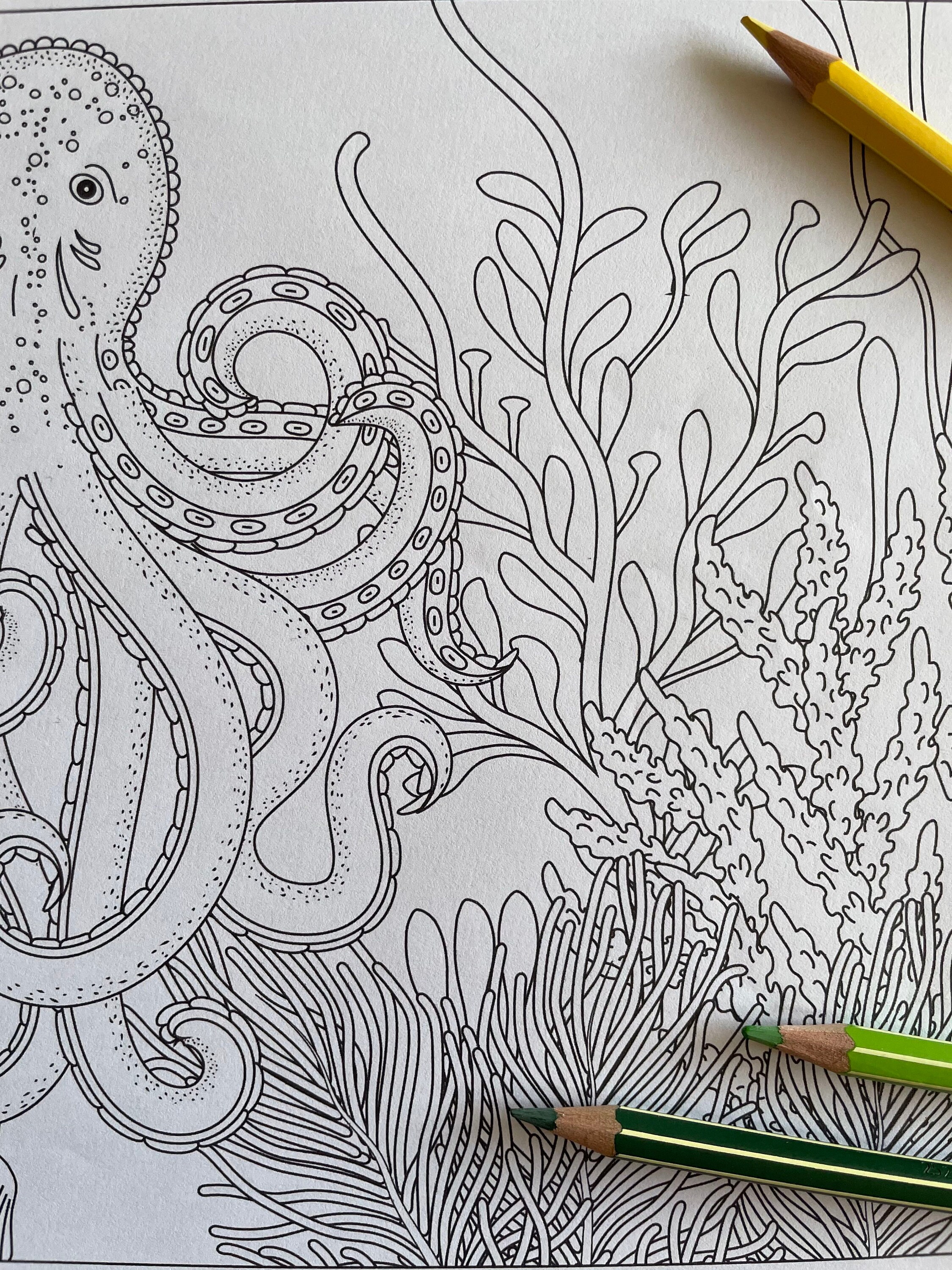 Coloring Page: Octopus | Instant Download | Unlimited Prints - Etsy