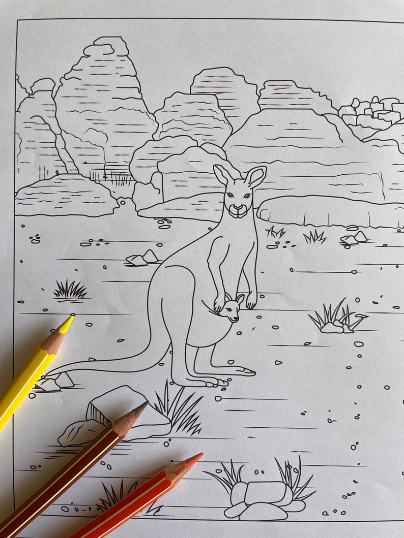 Coloring Page: Outback | Instant Download | Unlimited Prints - Etsy
