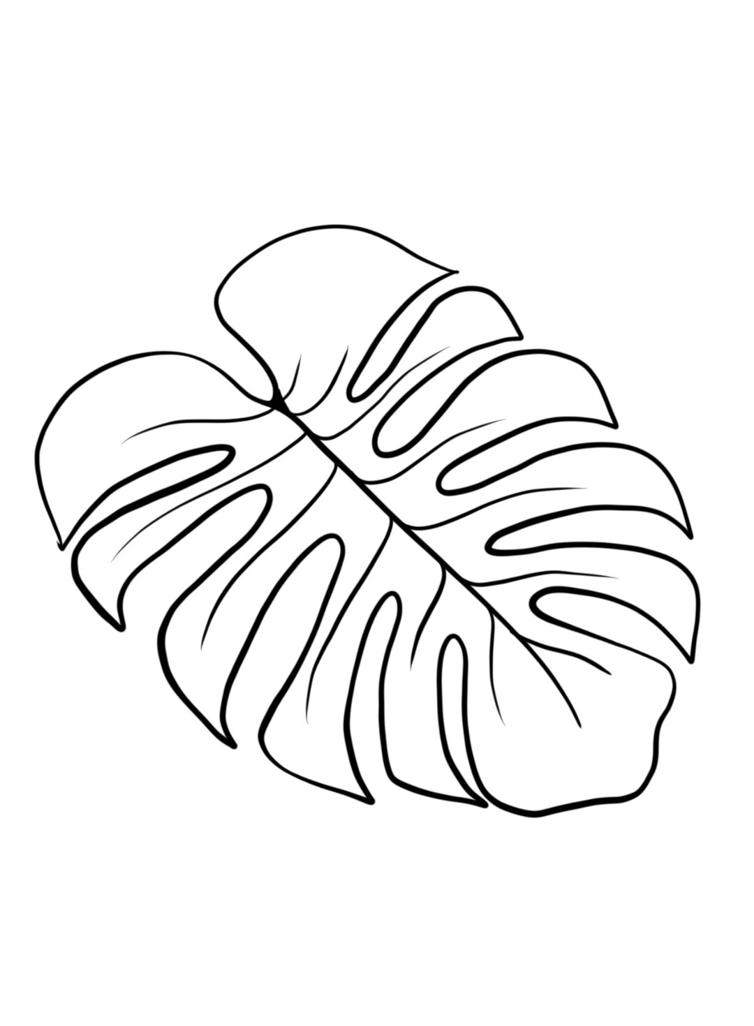 Monstera Leaf - Etsy