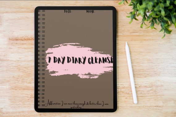 Daily Diary Instant Download Productivity Diary Printable - Etsy