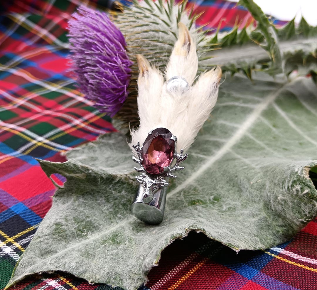 Vintage Lucky Grouse Foot Scottish Brooch Purple Stone & Stag ...