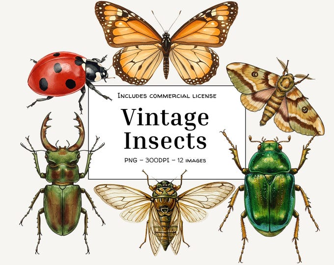 Vintage Insects Collection Clipart Set – Botanical Entomology PNG ...