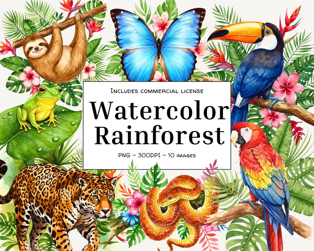 Watercolor Rainforest Animals PNG Bundle - Macaw, Frog & More ...