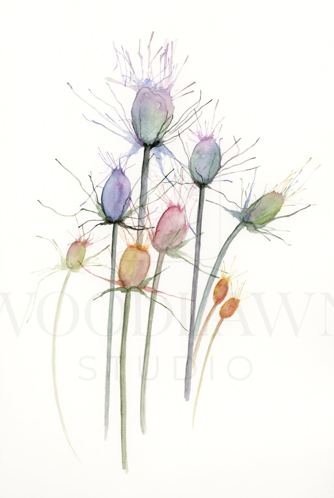Abstract Thistle Original Artwork - Etsy