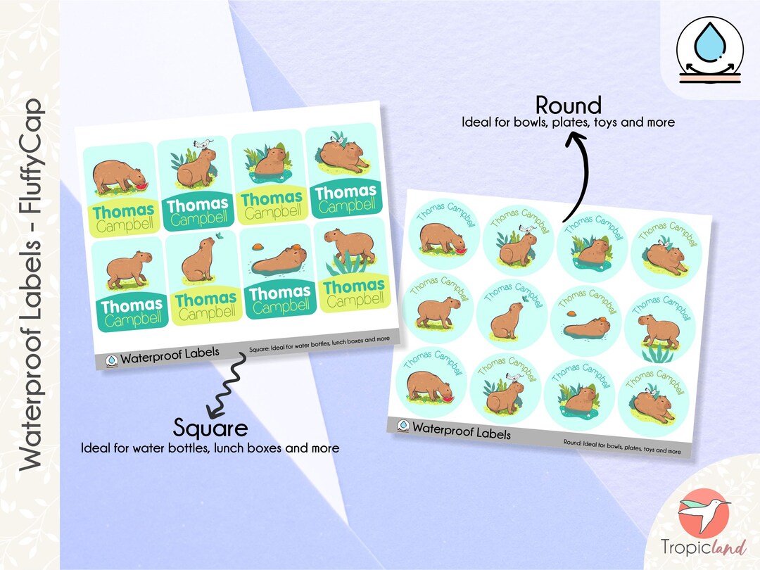 Fluffycap Waterproof Labels Capybara - Etsy