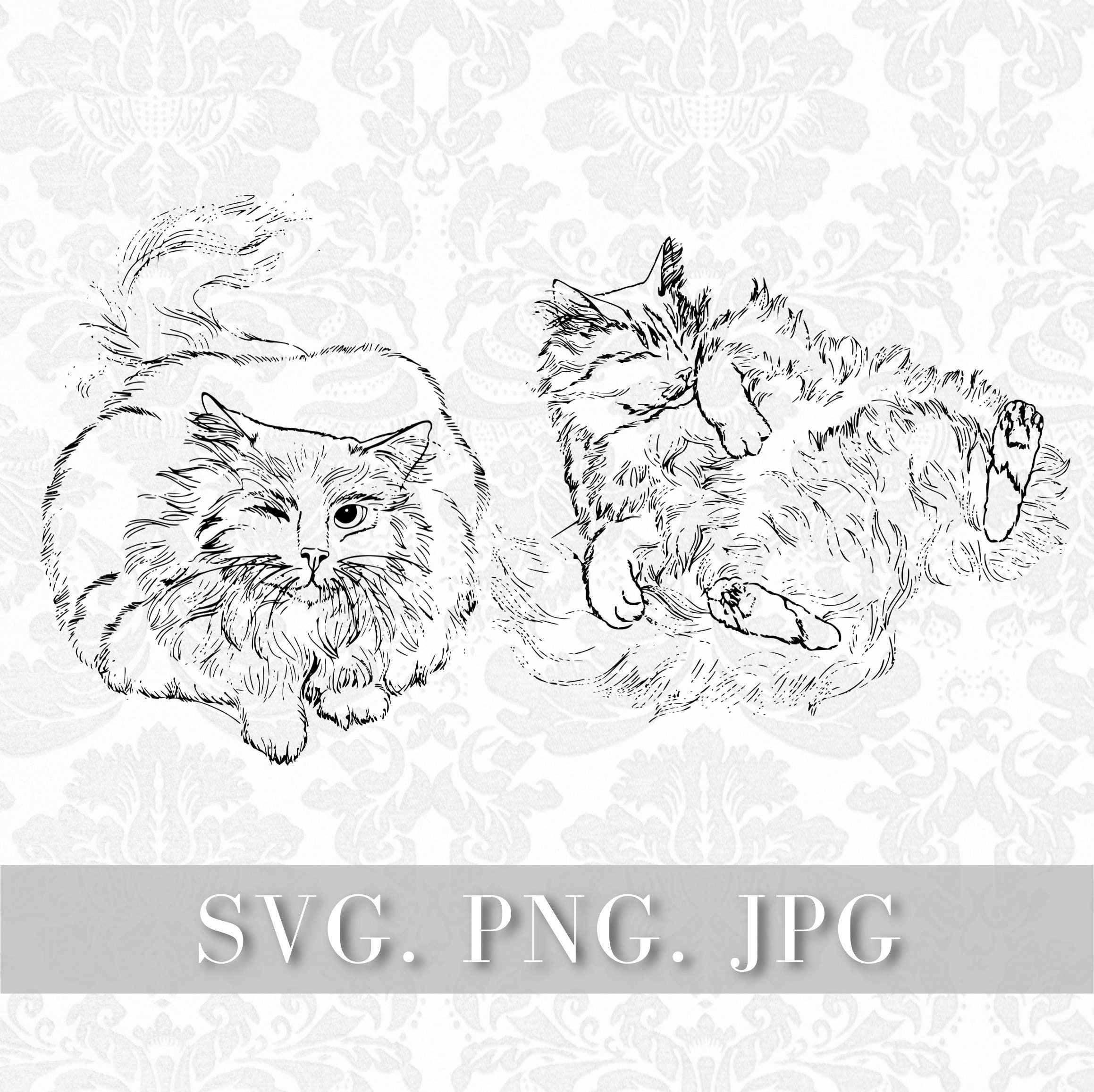 Katzen Zeichnung Svg, Katzen Bündel Svg, Katze Svg, Png, Jpg, Haustier ...